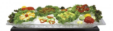 Chefstone Lighted Ice Displays for Ice Carvings & Buffets